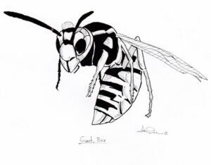 Bee, Giant - Cresthaven RPG